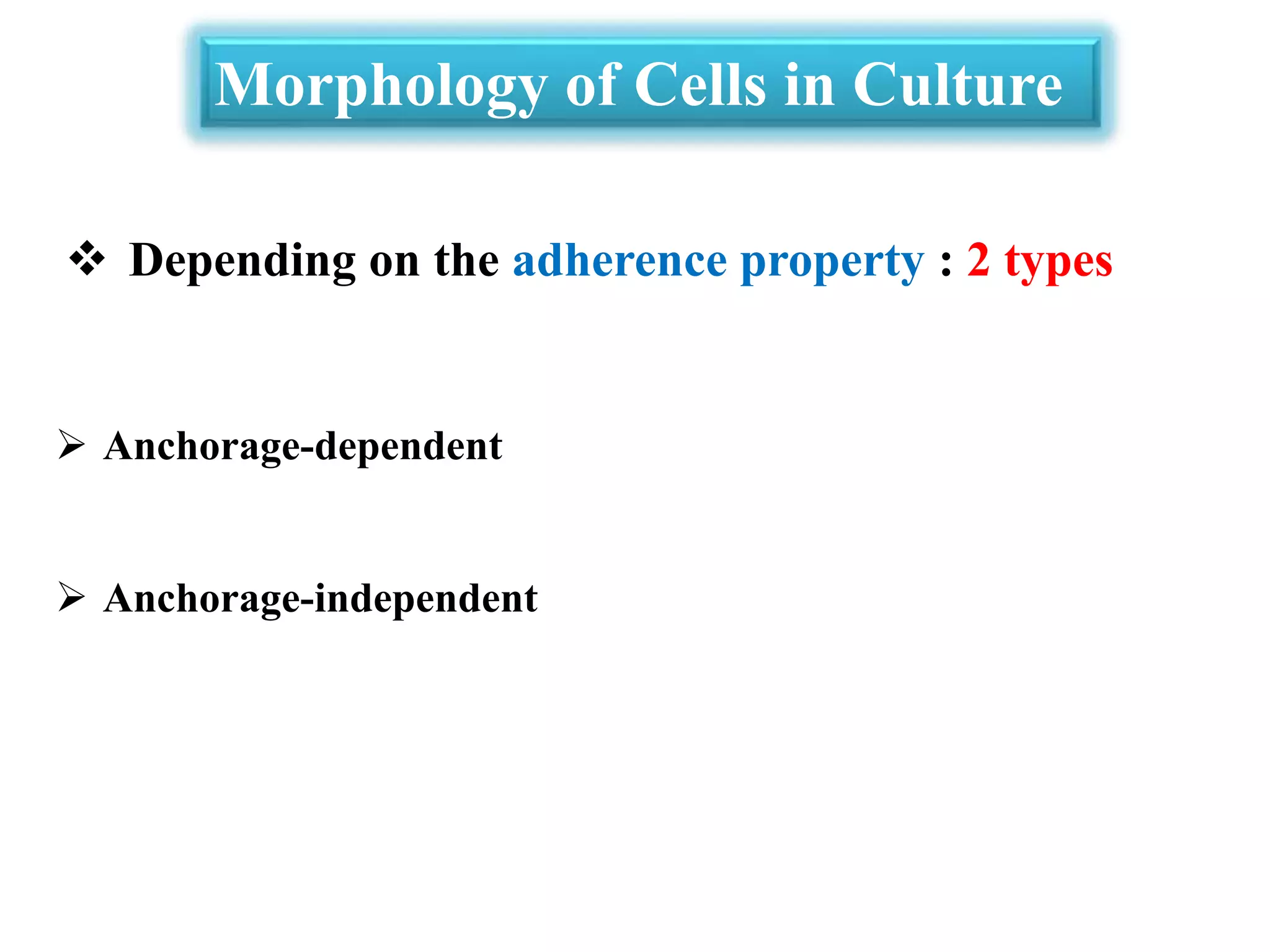 3 morphology and types of cells in culture lecture 3 | PPTX