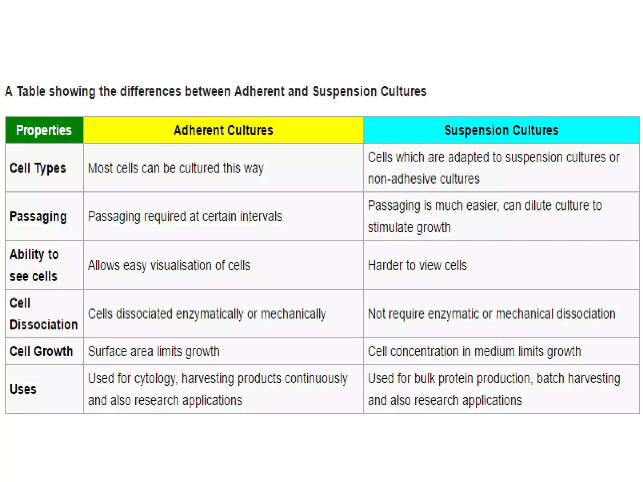 3 morphology and types of cells in culture lecture 3 | PPTX