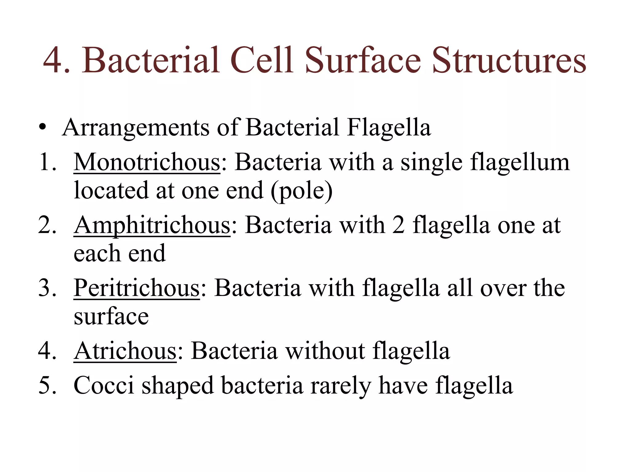 3 morphology & cell biology of bacteria | PPTX | Biological Sciences ...