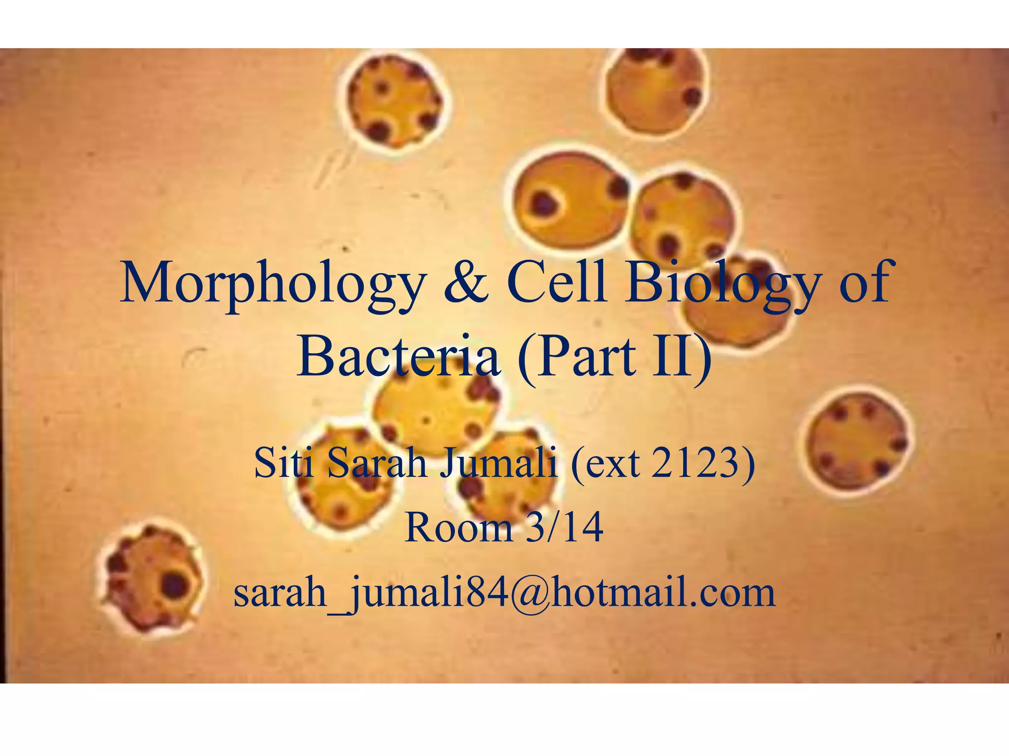 3 morphology & cell biology of bacteria (2) | PPTX