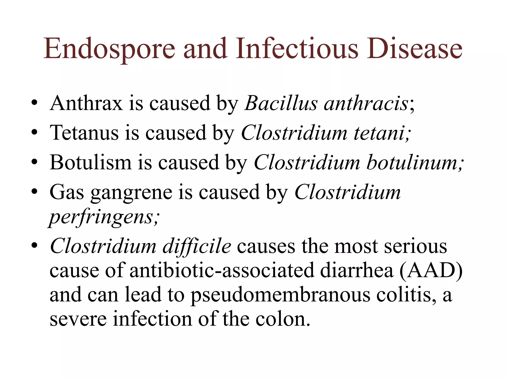 3 morphology & cell biology of bacteria (2) | PPTX