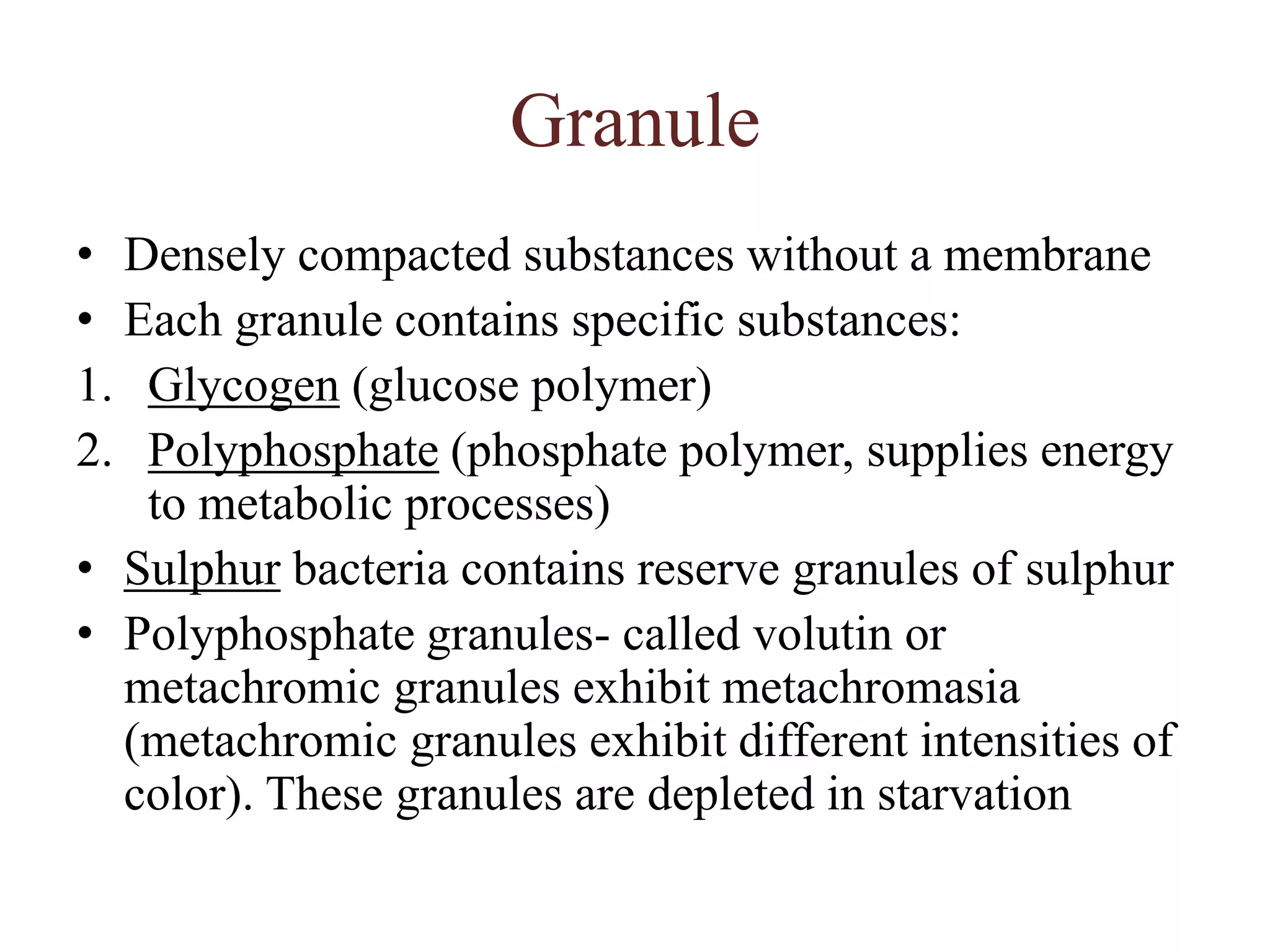 3 morphology & cell biology of bacteria (2) | PPTX
