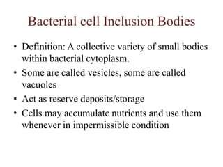 3 morphology & cell biology of bacteria (2) | PPTX