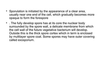 2-MORPHOLOGY AND DESCRIPTION OF BACTERIA I I.ppt