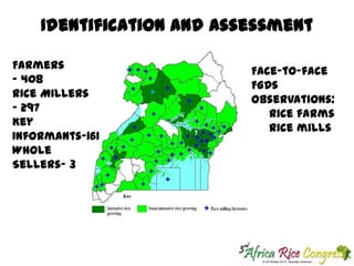 Th3_The state of rice postharvest handling and processing technologies ...