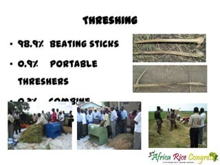 Th3_The state of rice postharvest handling and processing technologies ...