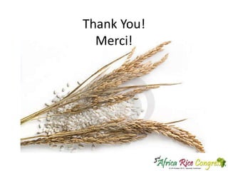 Th3_Starch digestibility and glycemic index of nine rice varieties in ...