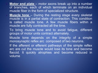 3 - Muscle.pptx