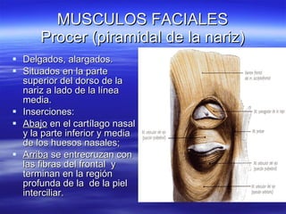3. Musculos Cabeza | PPT