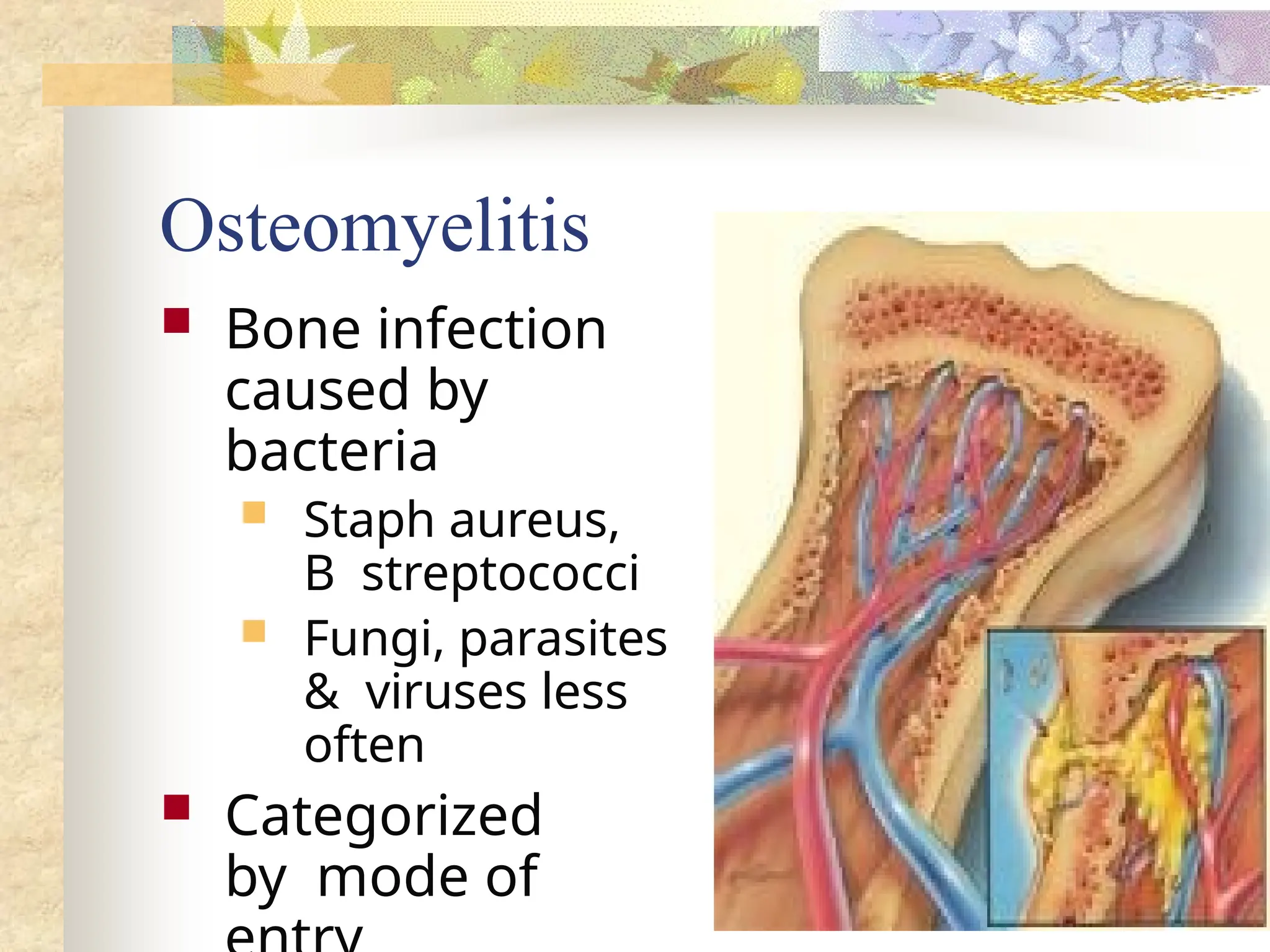 3- Musculoskeletal Nursing-1 disordes (1).pptx
