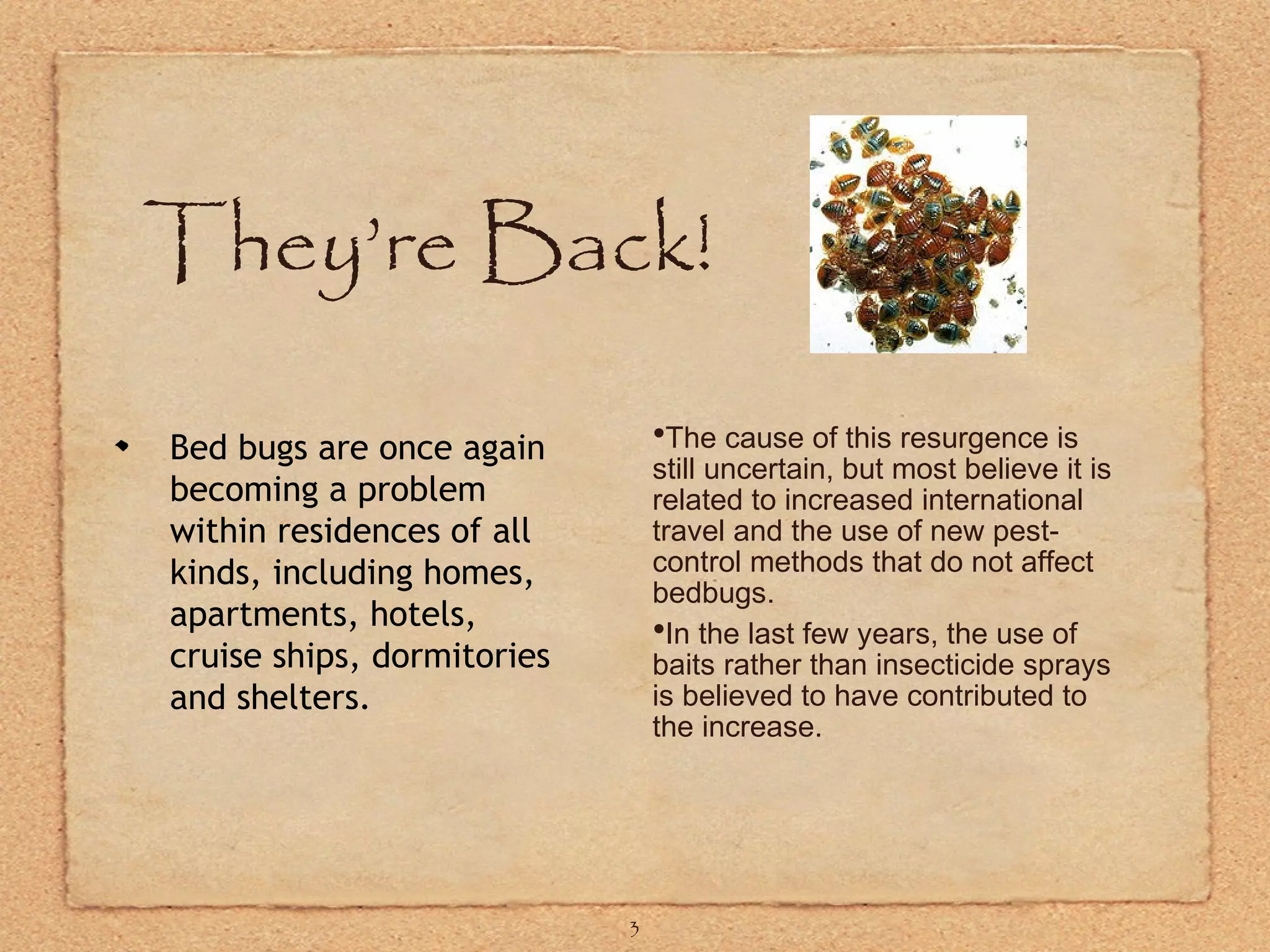 GA bed bugs | PPT