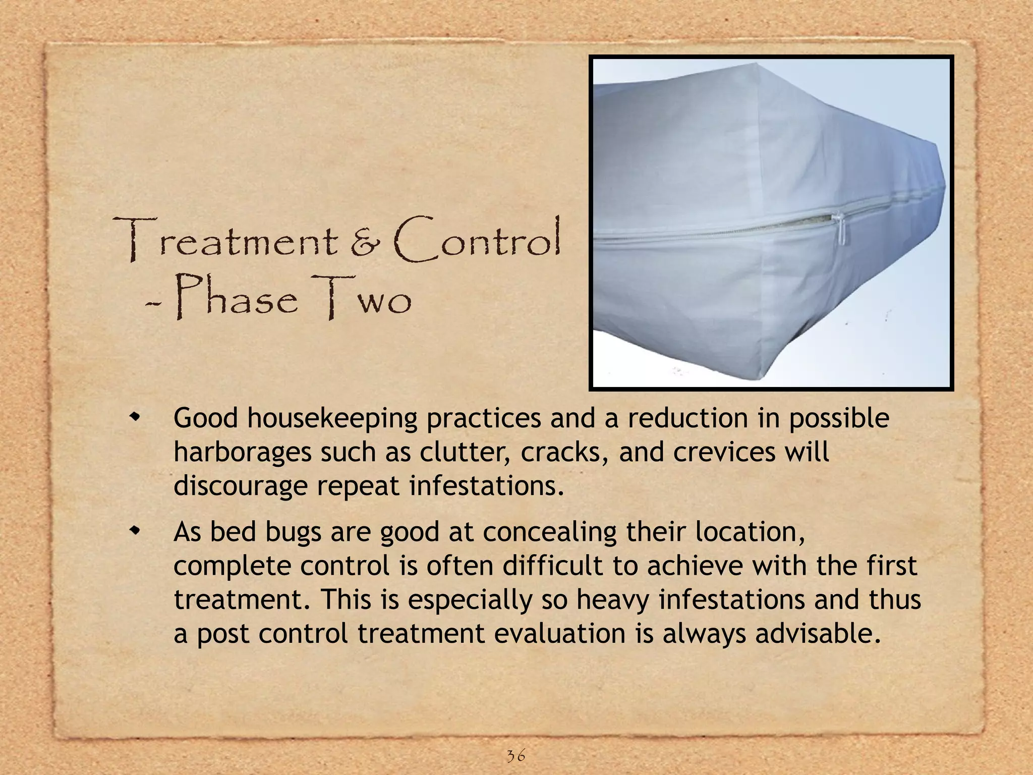 GA bed bugs | PPT