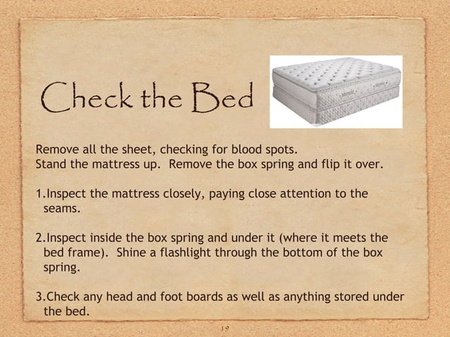 GA bed bugs | PPT