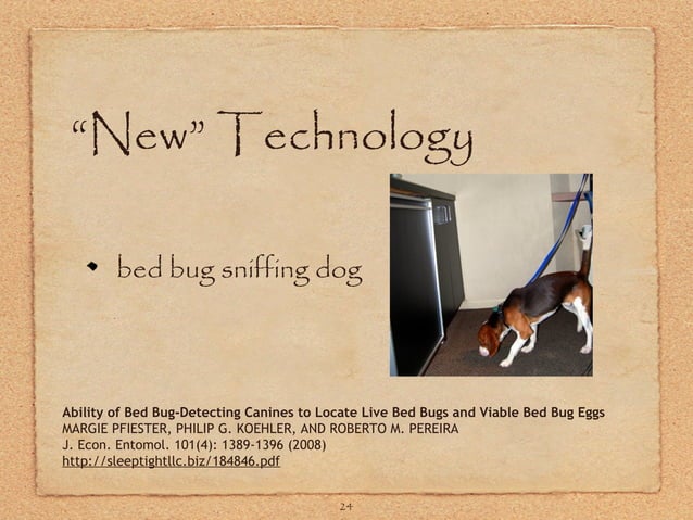 GA bed bugs | PPT