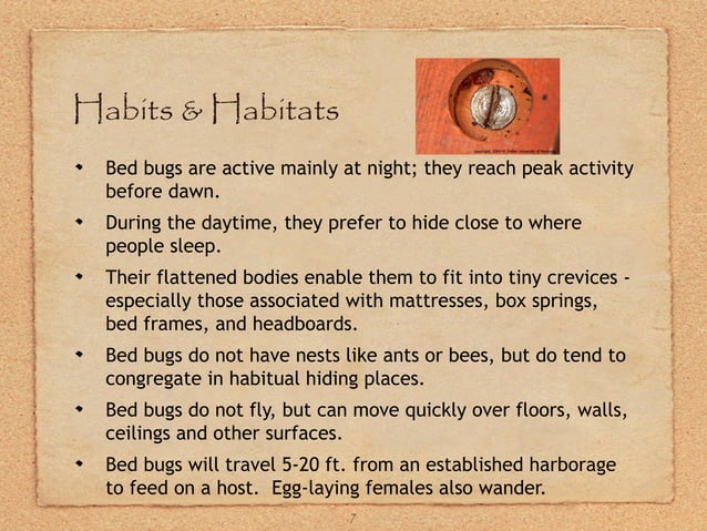 GA bed bugs | PPT