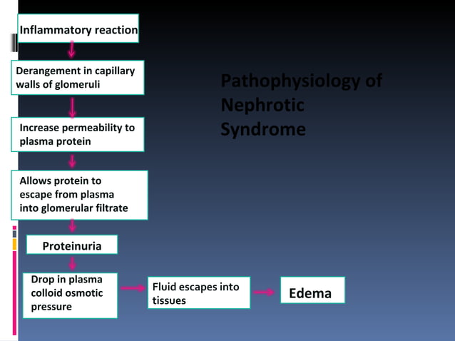 3. nephrotic syndrome | PPT