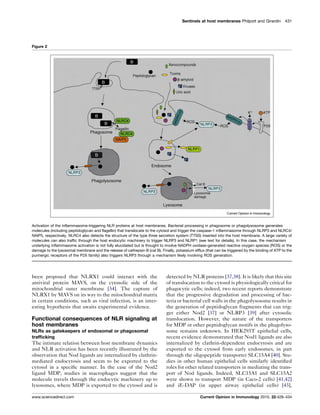 3 nod | PDF