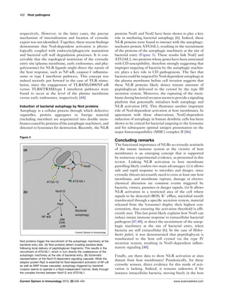3 nod | PDF