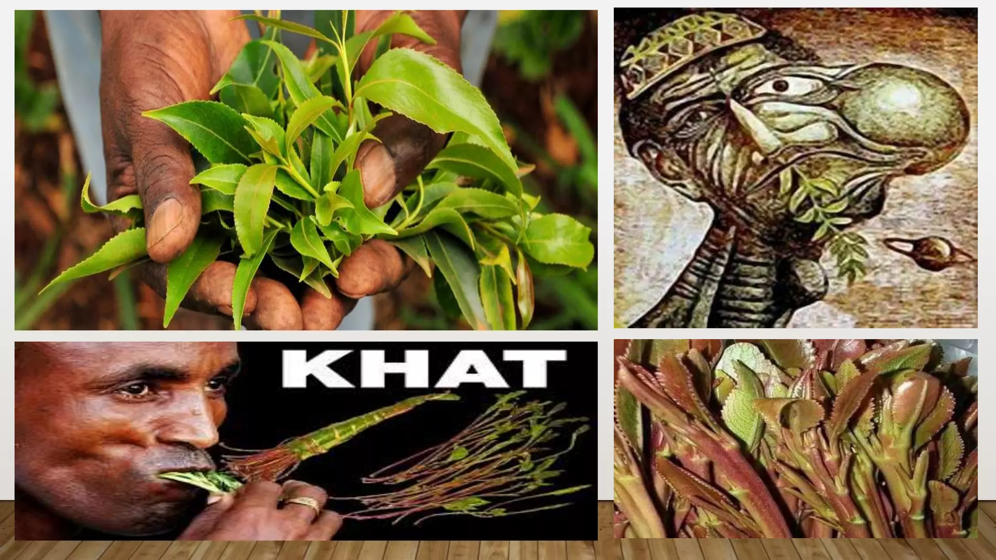 3- Non-Heterocyclic Alkaloids Protoalkaloids 1.pptx