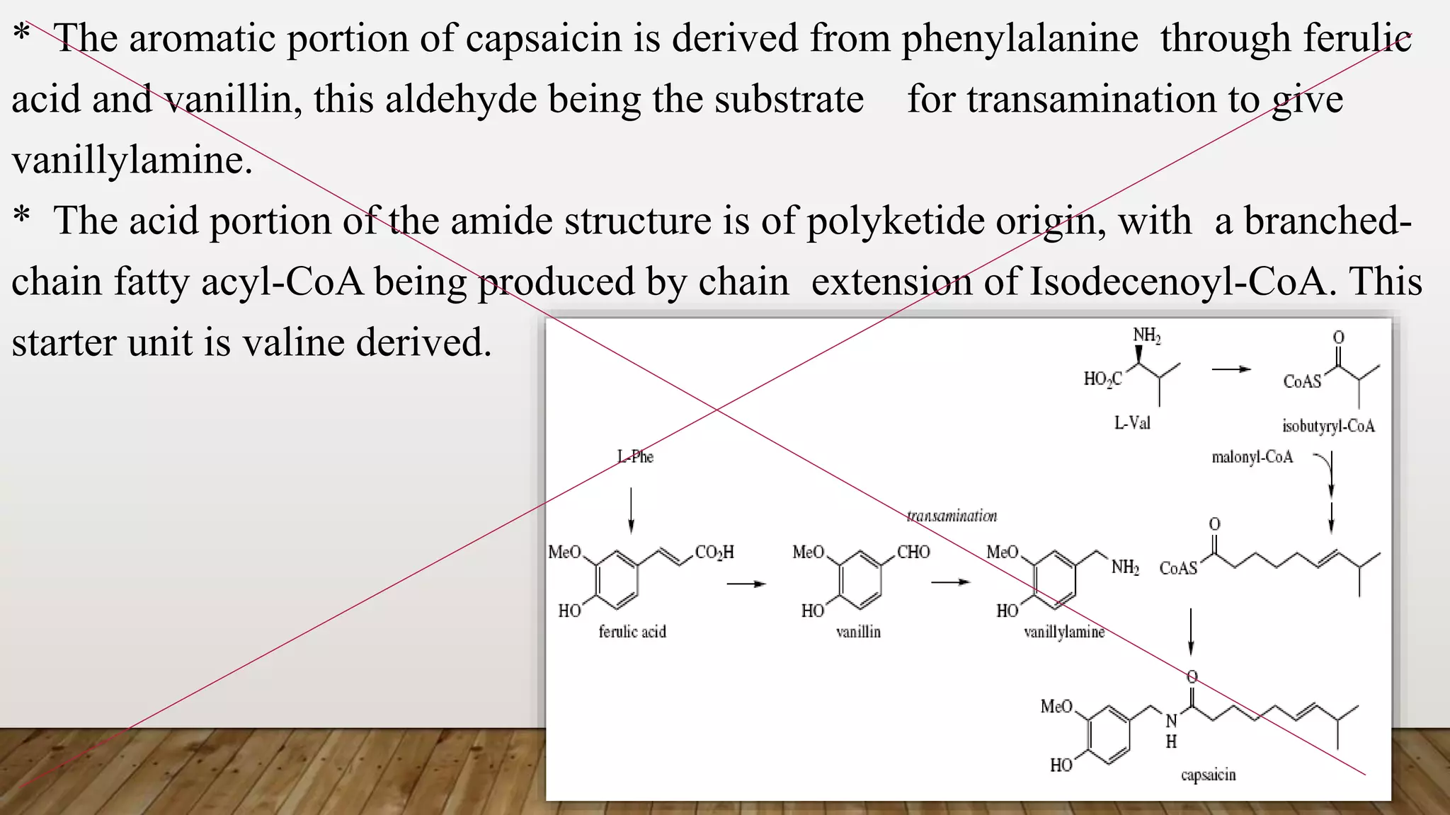 3- Non-Heterocyclic Alkaloids Protoalkaloids 1.pptx