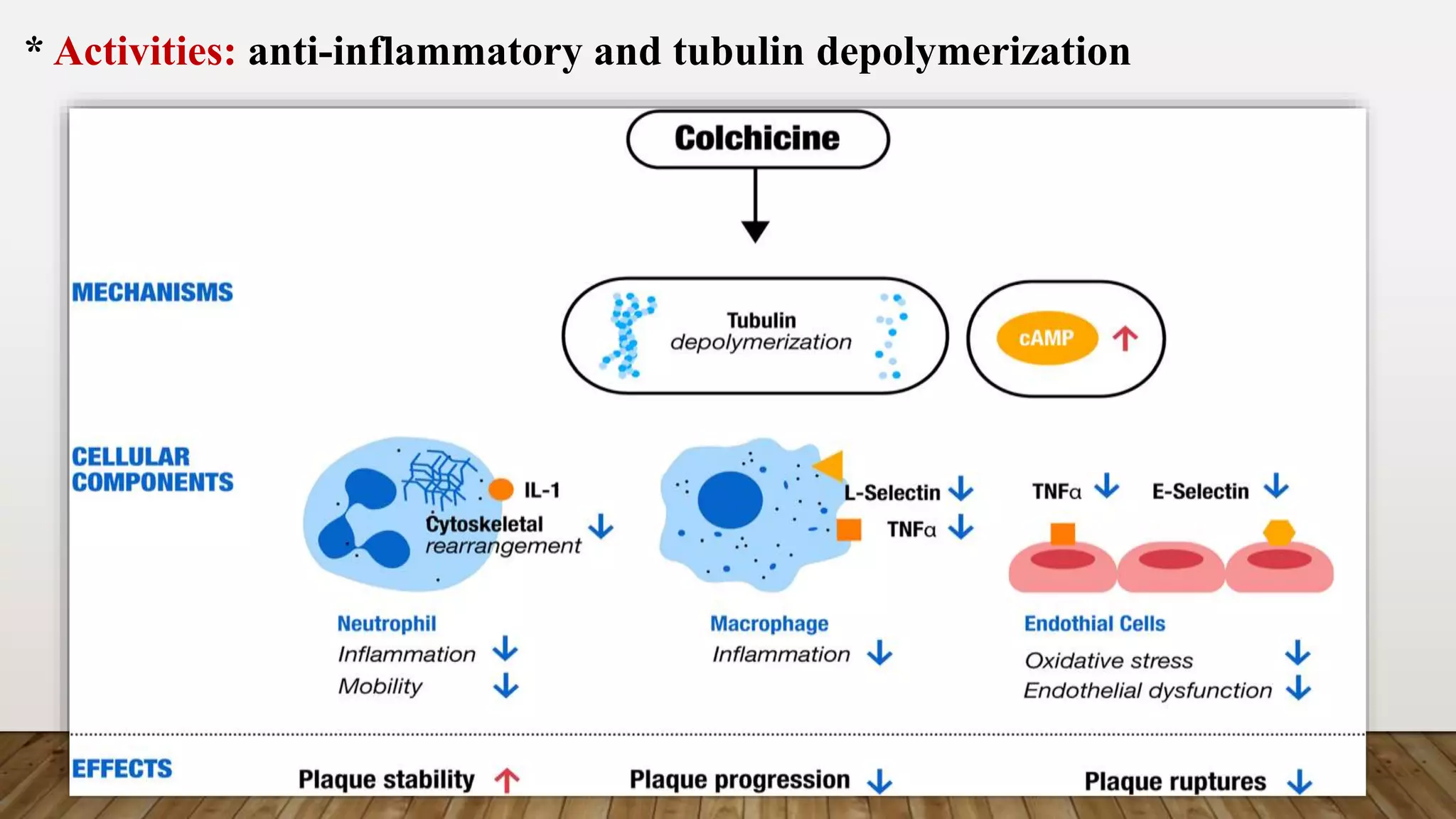 3- Non-Heterocyclic Alkaloids Protoalkaloids 1.pptx