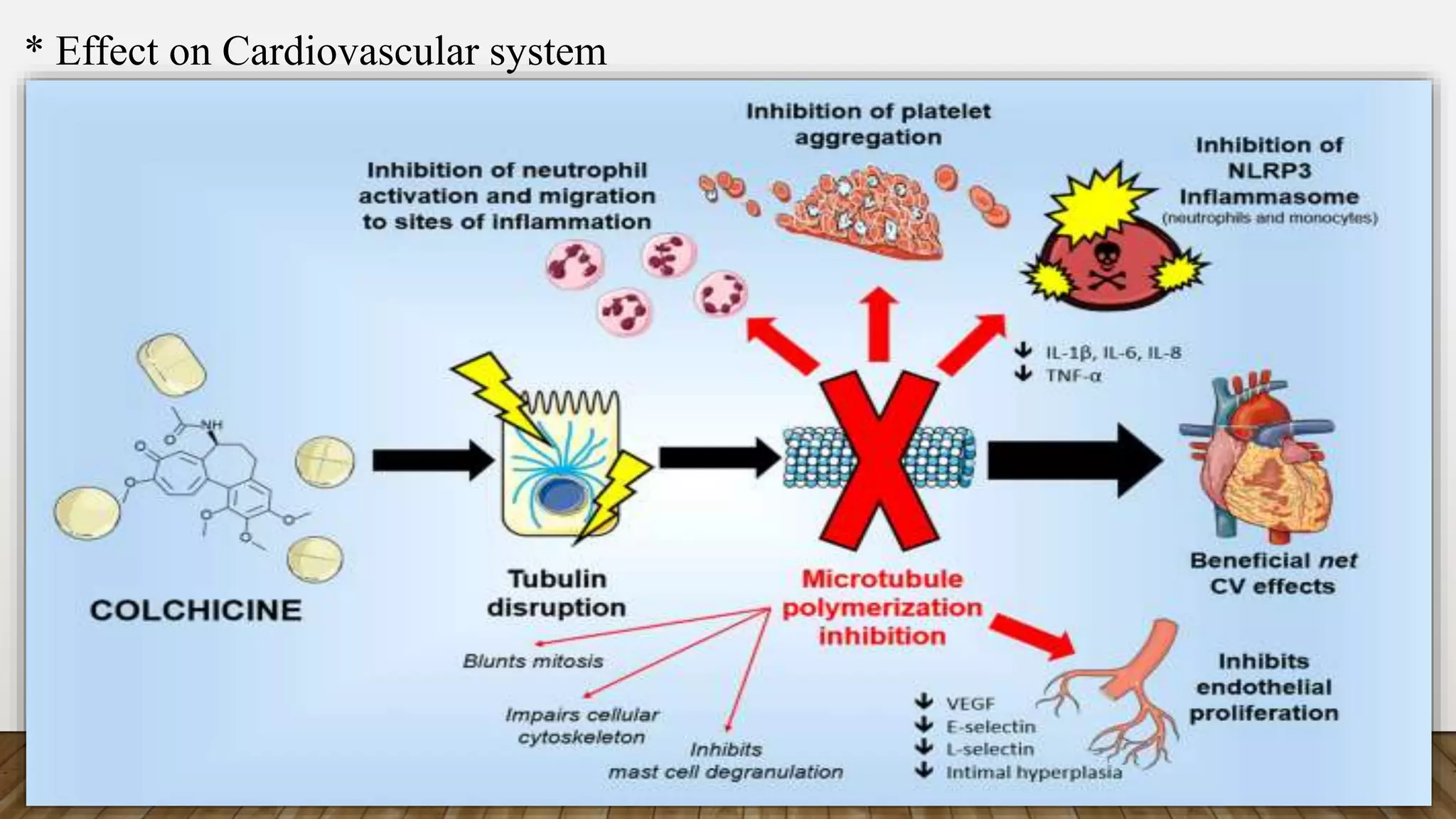 3- Non-Heterocyclic Alkaloids Protoalkaloids 1.pptx
