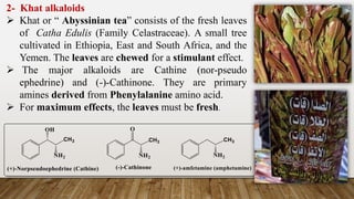 3- Non-Heterocyclic Alkaloids Protoalkaloids 1.pptx