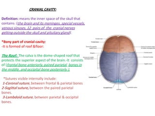 3-Norma Basalis ( Externa and Interna).pdf