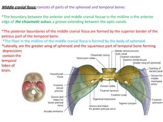 3-Norma Basalis ( Externa and Interna).pdf