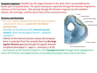 3-Norma Basalis ( Externa and Interna).pdf