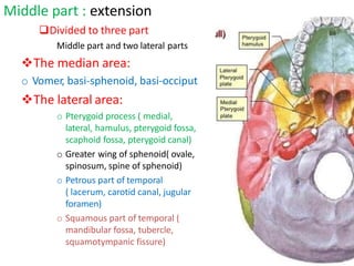 3-Norma Basalis ( Externa and Interna).pdf