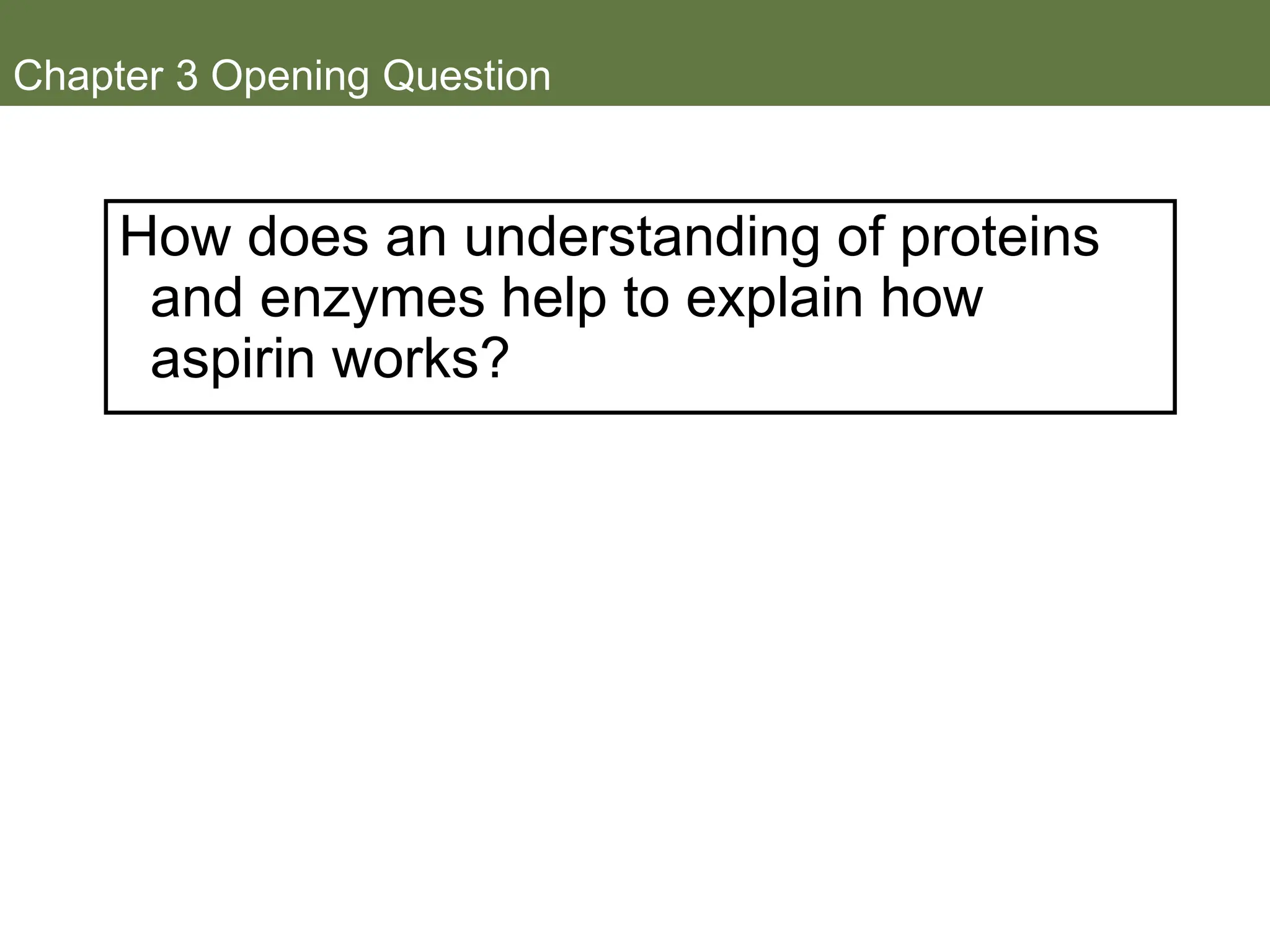 3-+Nucleic+Acids,+Proteins+and+Enzymes.ppt