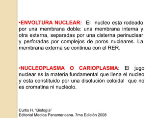 3. nucleo | PPTX