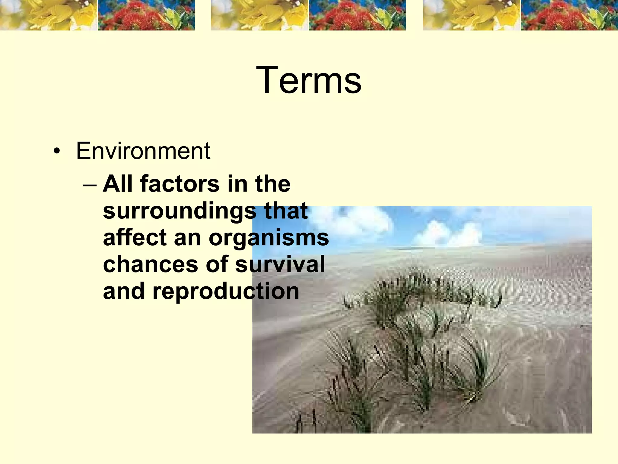 3 Organisms And Environment | PPT