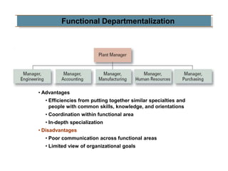 3 Organization structure | PPTX