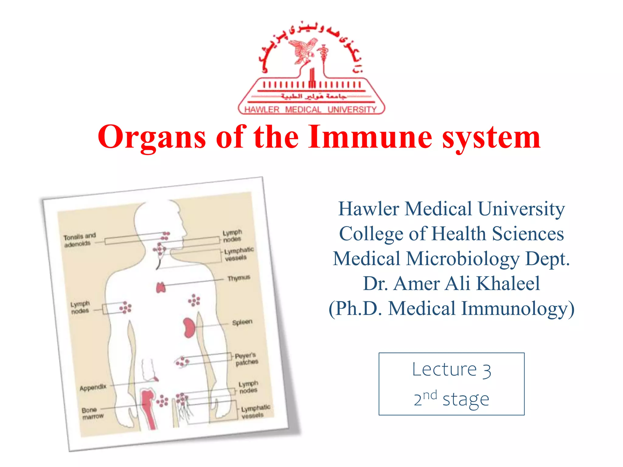 Organs of the Immune system | PPT