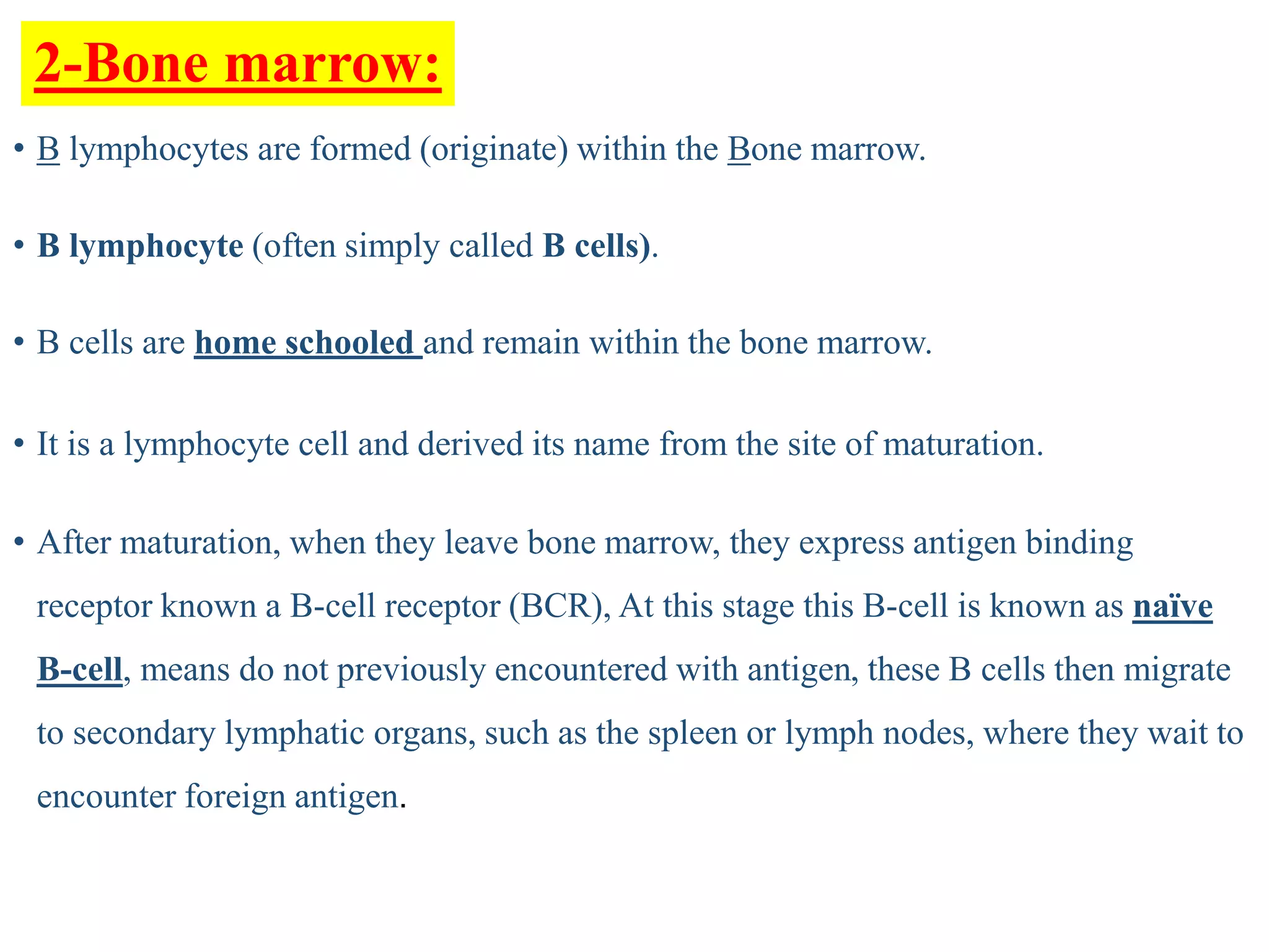 Organs of the Immune system | PPT