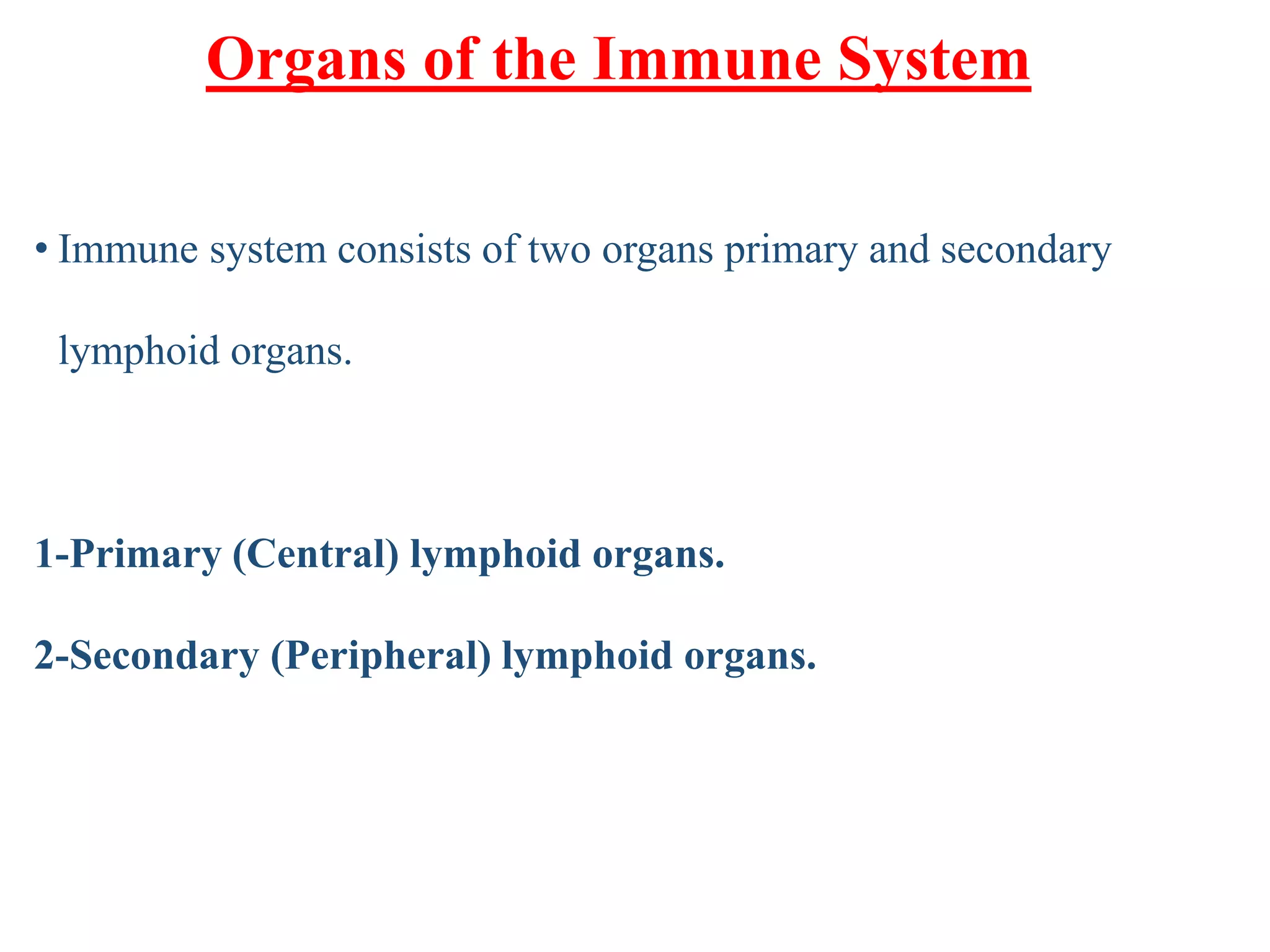 Organs of the Immune system | PPT