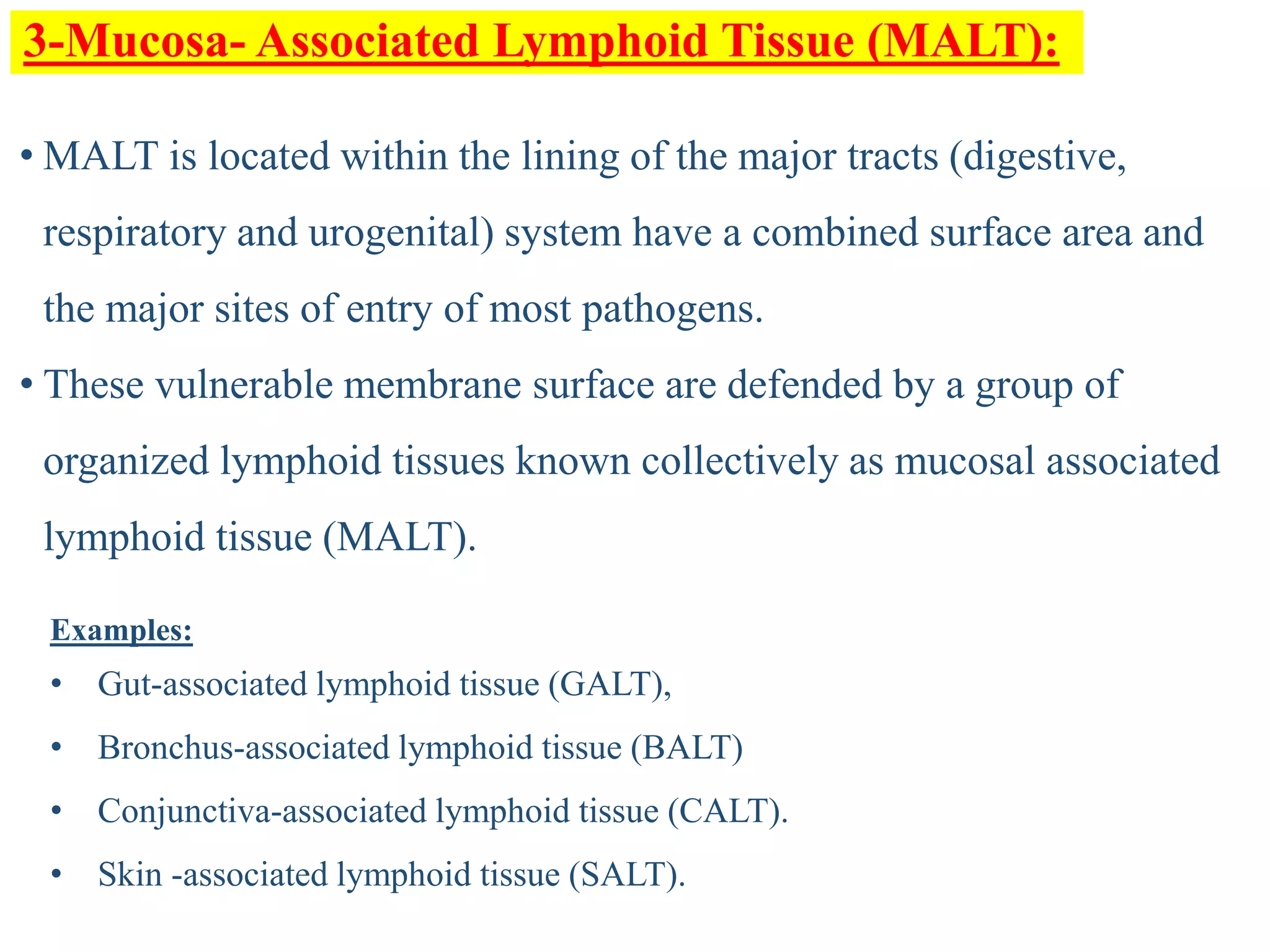 Organs of the Immune system | PPT