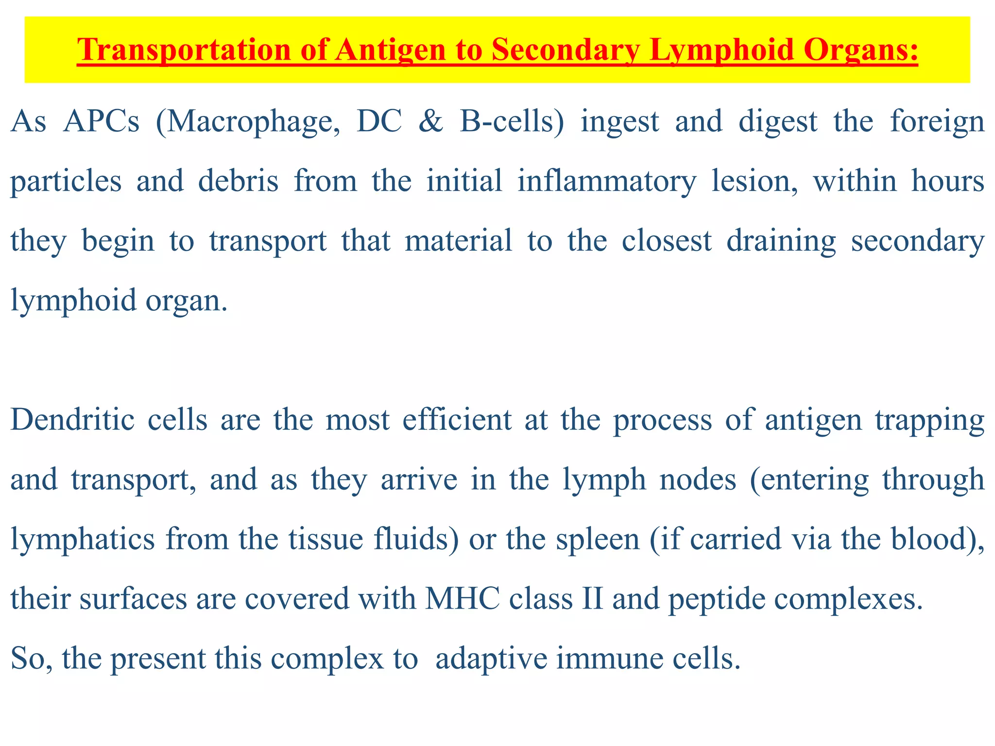 Organs of the Immune system | PPT
