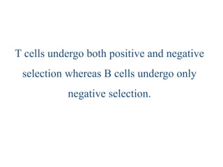 Organs of the Immune system | PPT