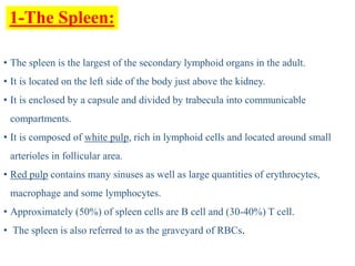 Organs of the Immune system | PPT