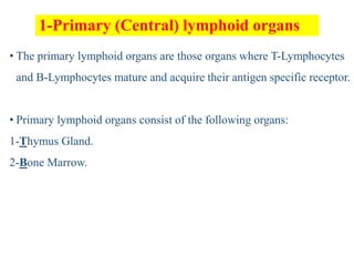 Organs of the Immune system | PPT