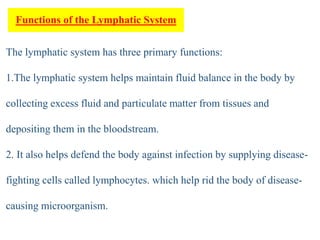 Immune System Organs And Their Functions