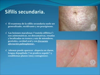 Sifilis Genital
