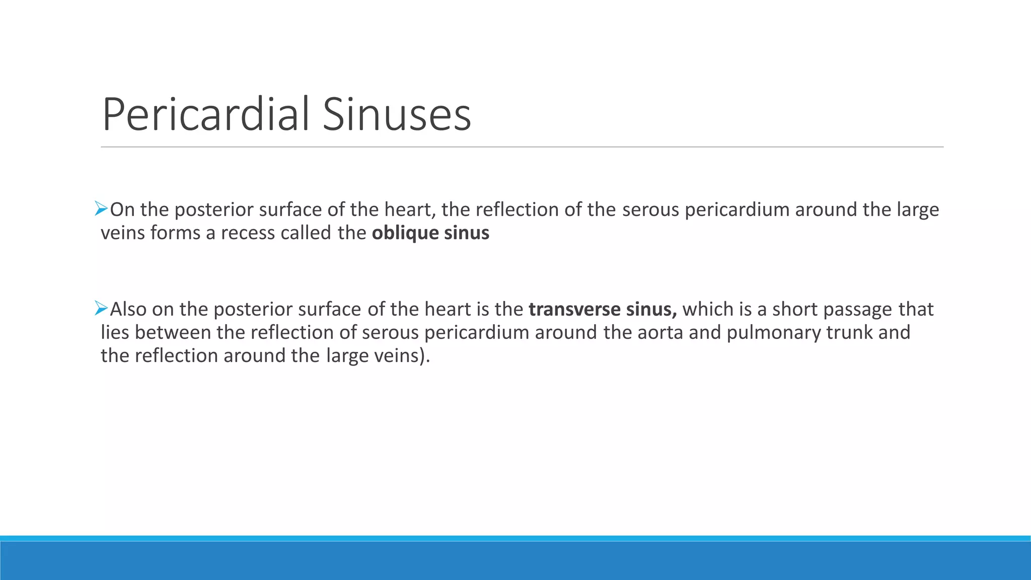 3-pericardium & Heart.pptx