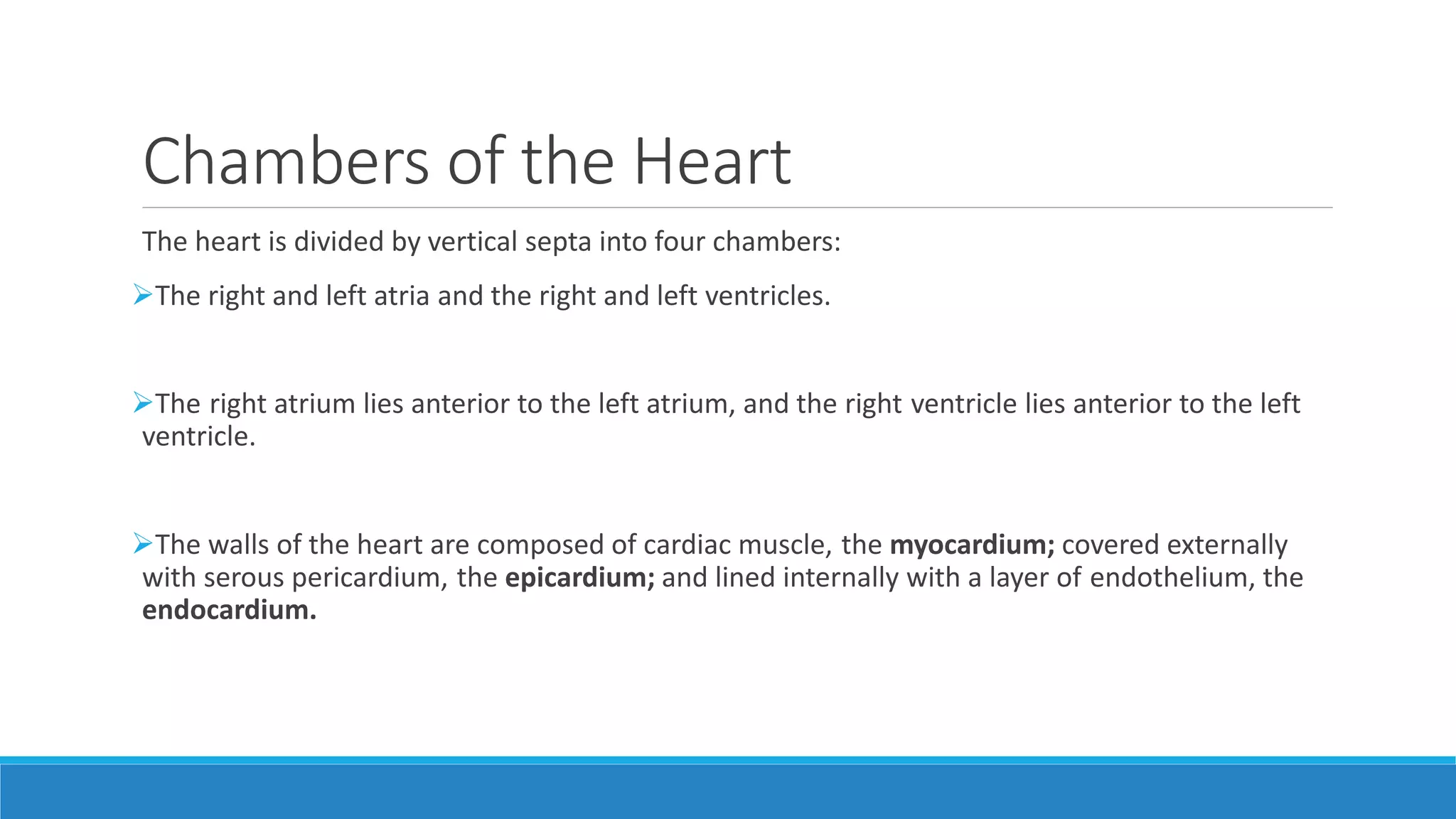 3-pericardium & Heart.pptx