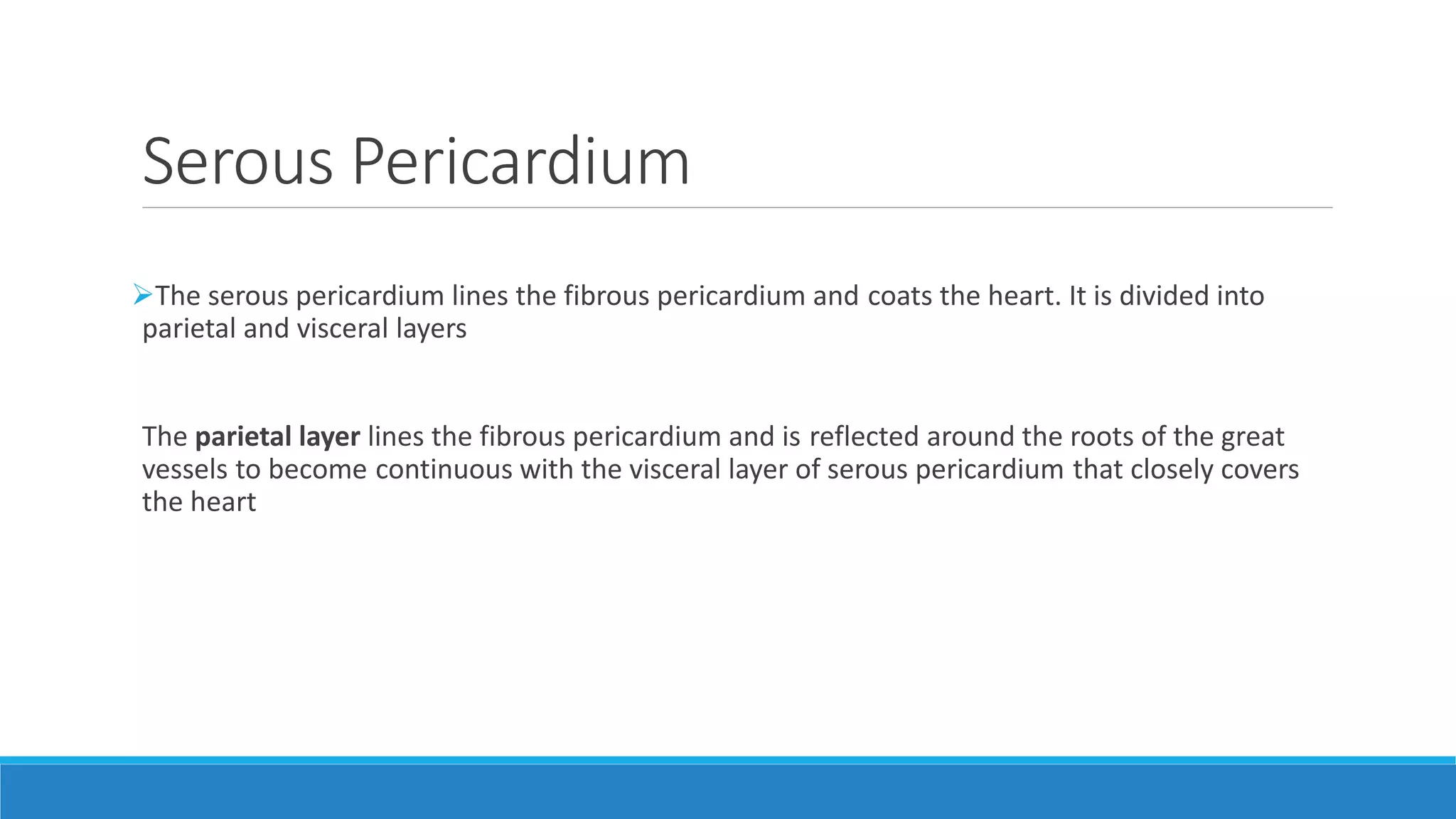 3-pericardium & Heart.pptx