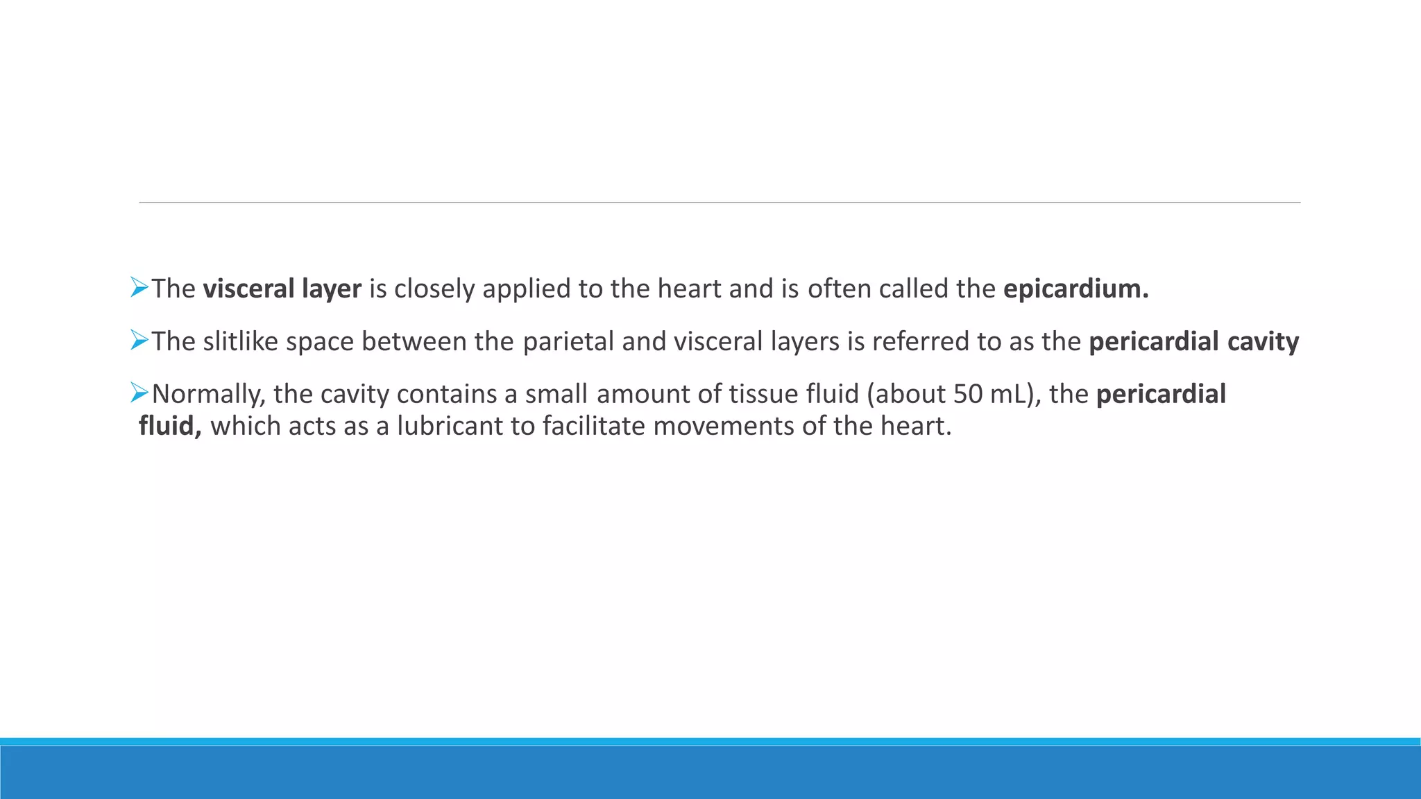 3-pericardium & Heart.pptx