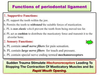 periodontal ligament dr. sherif hassan | PPT